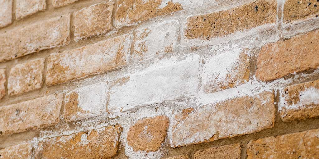 Efflorescence - Sandberg